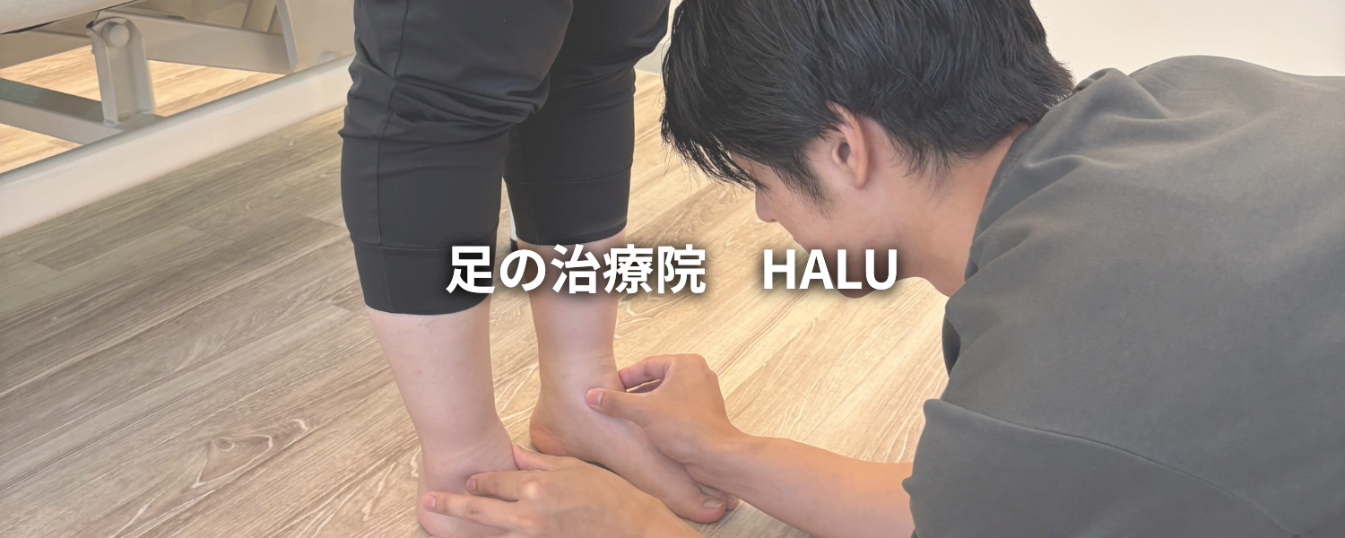 HALU公式