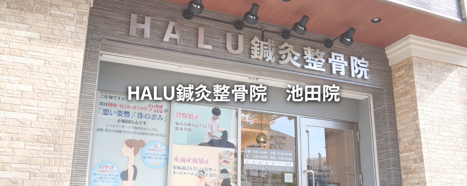 HALU公式